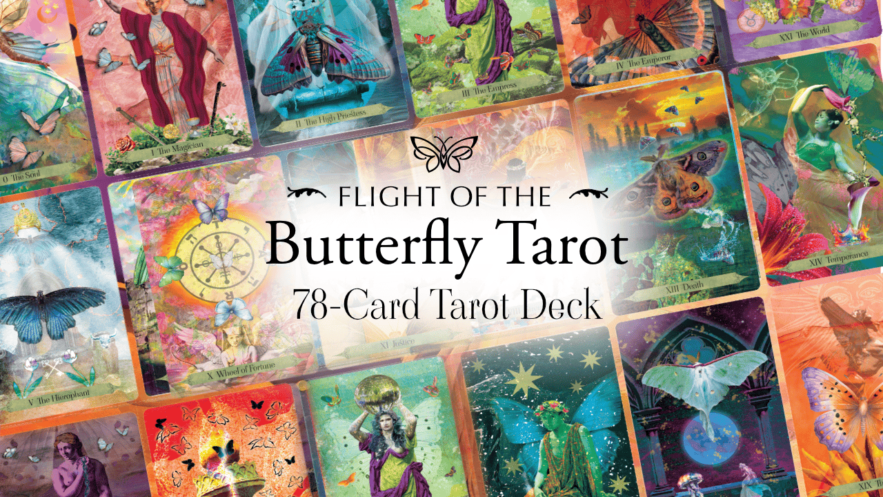 The Flight of The Butterfly Tarot Deck Project Update: We took Flight ...