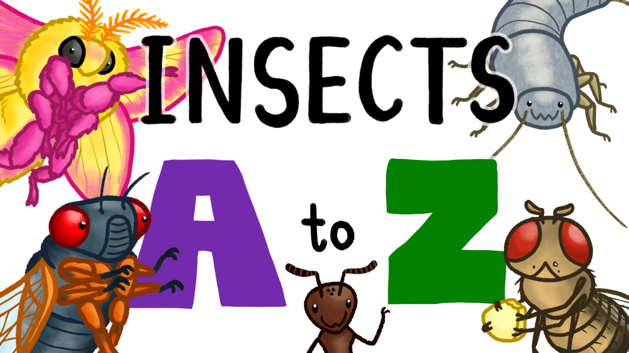 Insects A to Z - An alphabet book for young entomologists - BackerKit