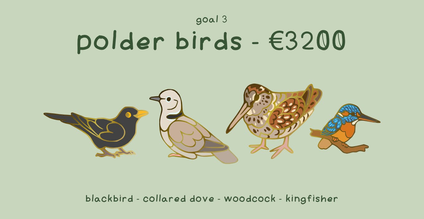 Birds of Rotterdam - Enamel Pins - BackerKit