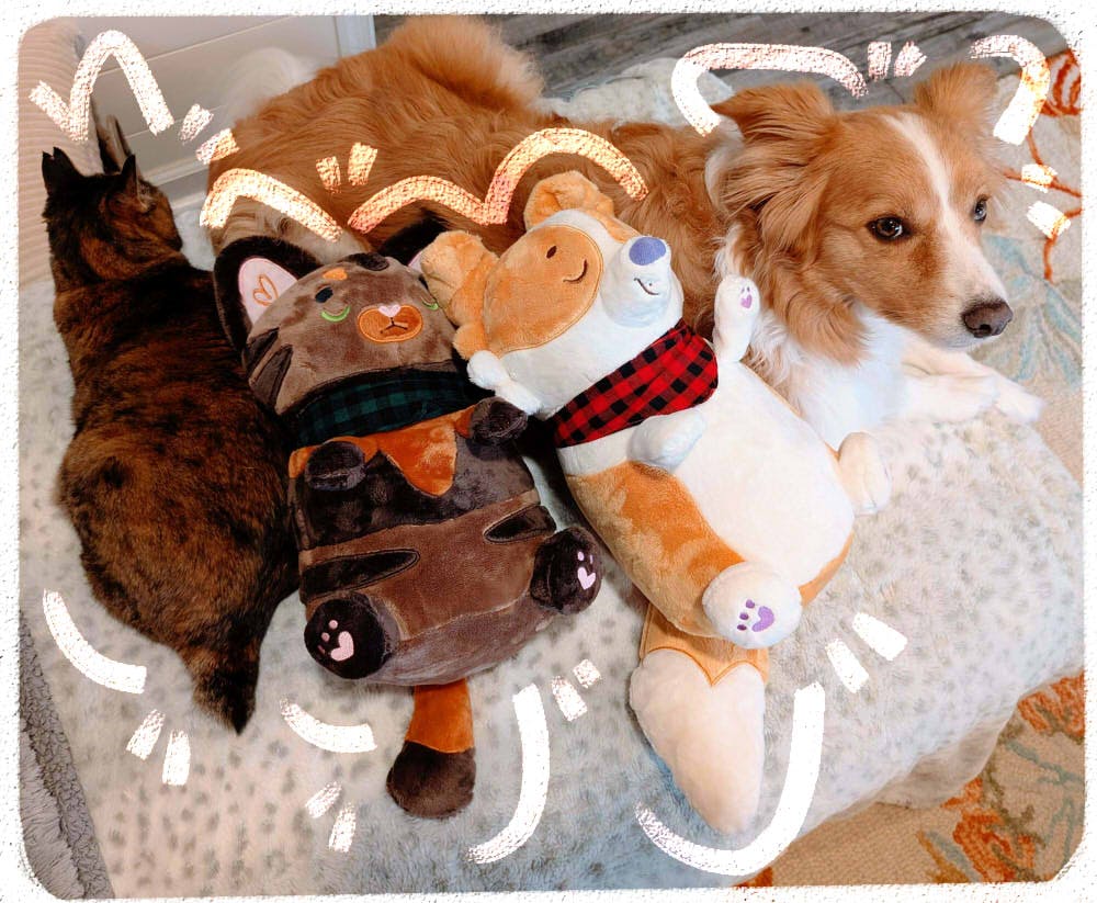 Snuggle Paws - Comforting Cuddle Shaped Plush - BackerKit