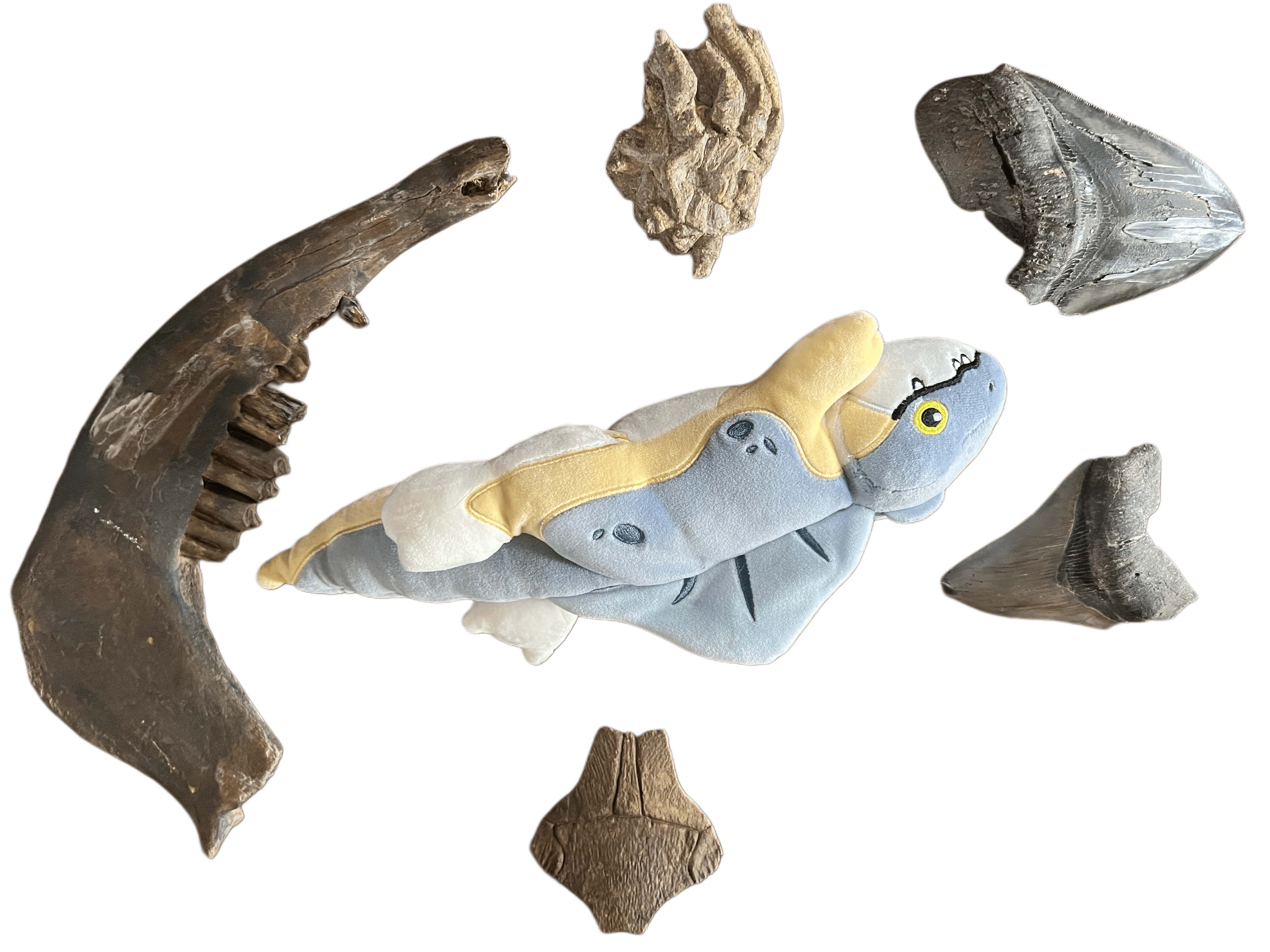 Prehistoric Pals (Pocket Pals series 2) Project Update: Update and New ...